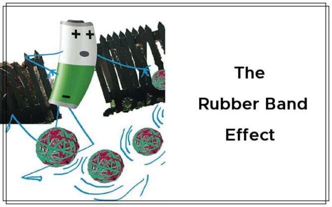 The Rubber Band Effect By Alexander Elder - Sacred Traders