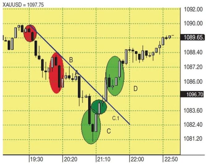 Trading Forex Gold And Silver By Gary S. Wagner - Sacred Traders